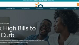 Dynamic SLR reviews - Is it legit? April, 2025